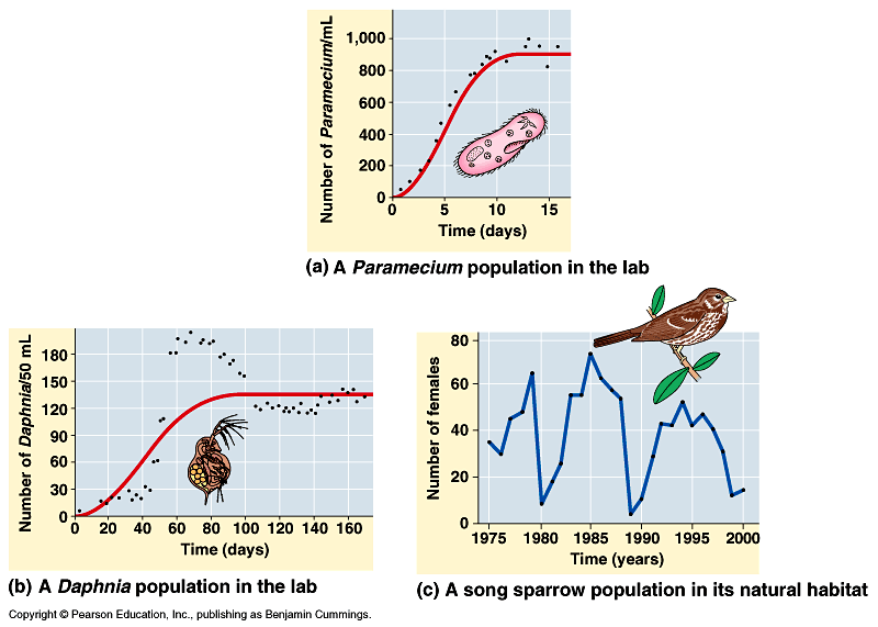 Population Ecology Population Ecology